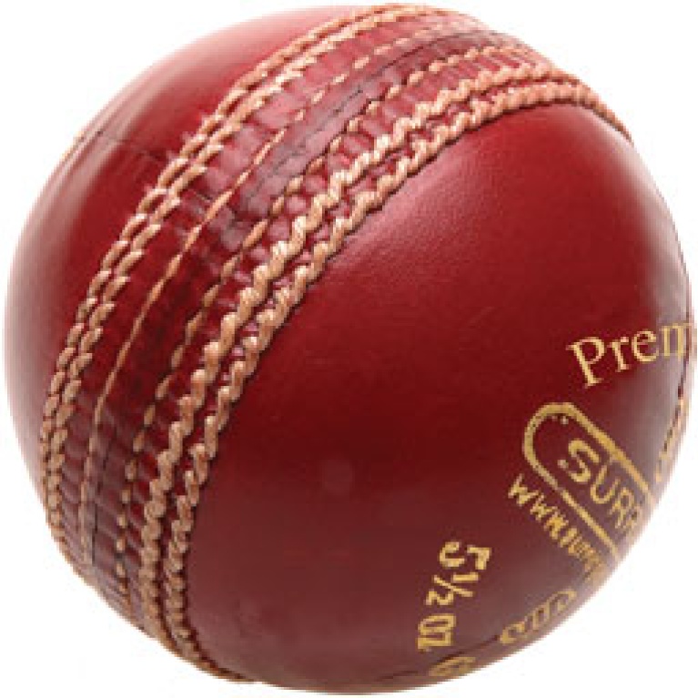 PREMIER SPECIAL CRICKET BALL | Surridge Sport